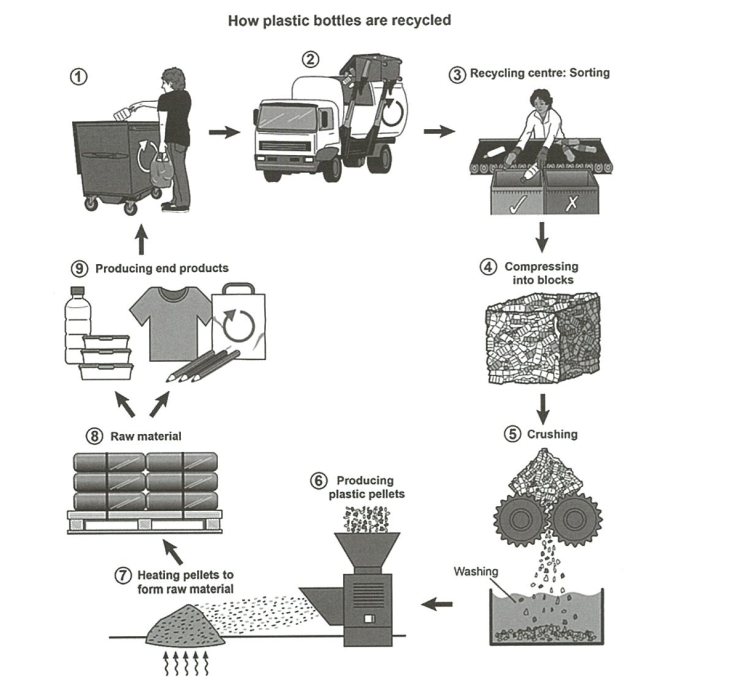The process for recycling plastic bottles - Linguaielts